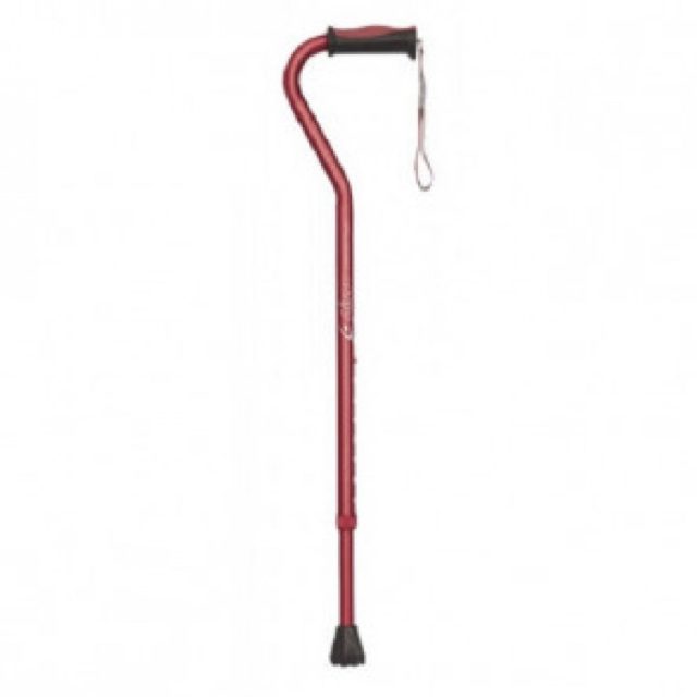 Walking Cane - Ergo - The Mobility Store